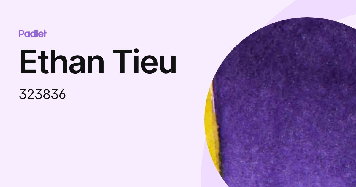 Ethan Tieu (323836) profile | Padlet