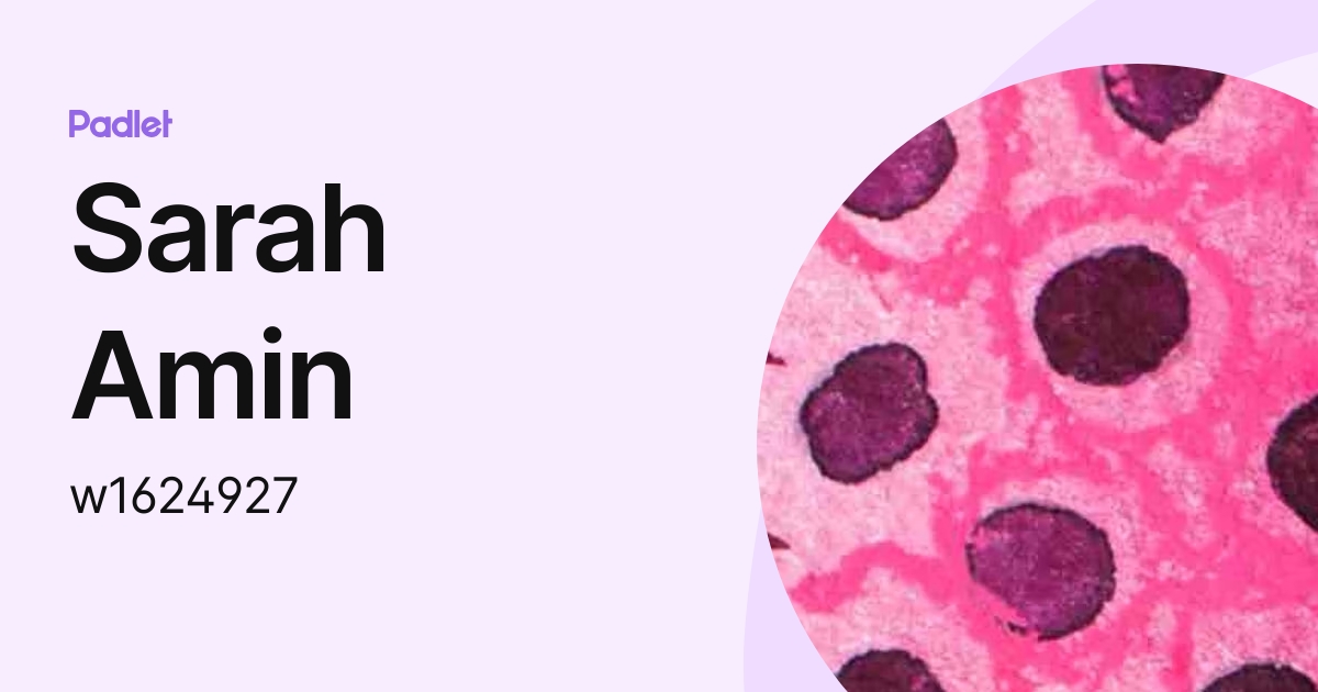 Sarah Amin (w1624927) profile | Padlet
