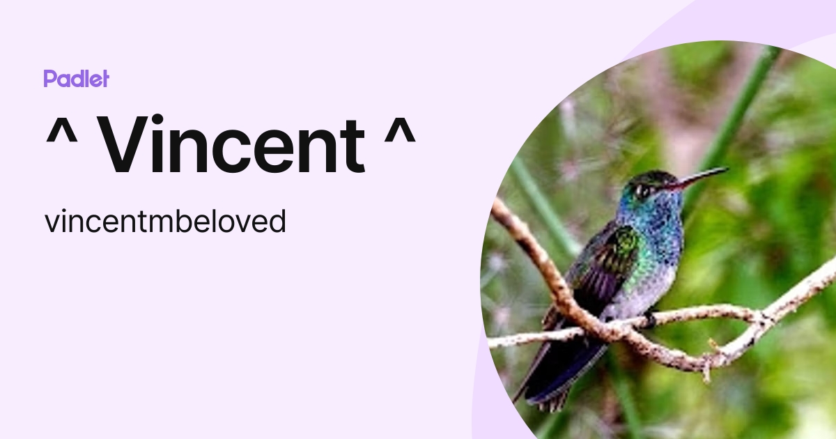 ^ Vincent ^ (vincentmbeloved) profile | Padlet
