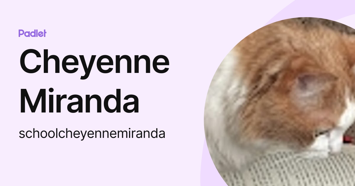 Cheyenne Miranda (schoolcheyennemiranda) profile | Padlet