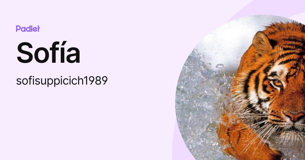Sofía (sofisuppicich1989) profile | Padlet