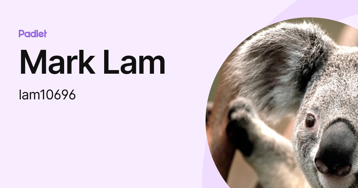 Mark Lam (lam10696) profile | Padlet