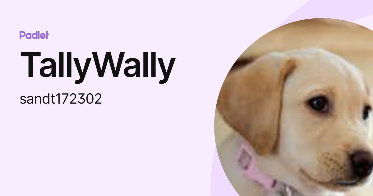 TallyWally (sandt172302) profile | Padlet