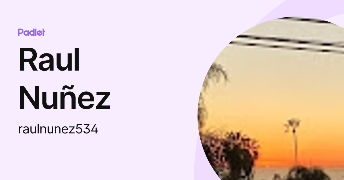 Raul Nuñez (raulnunez534) profile | Padlet