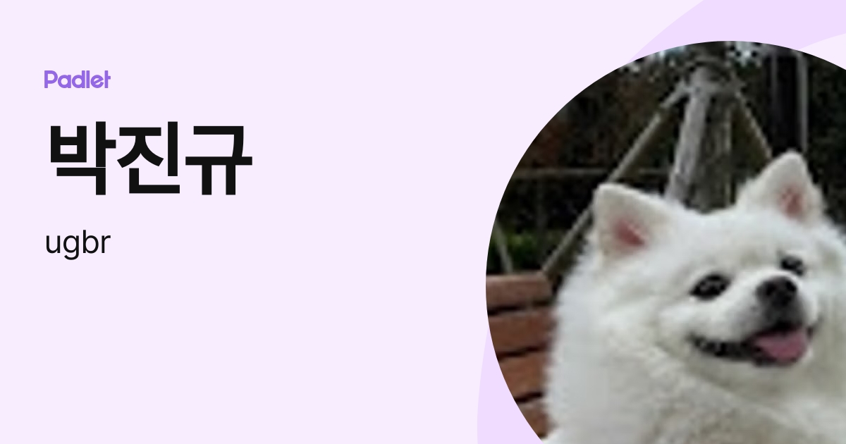 박진규 (ugbr) profile | Padlet