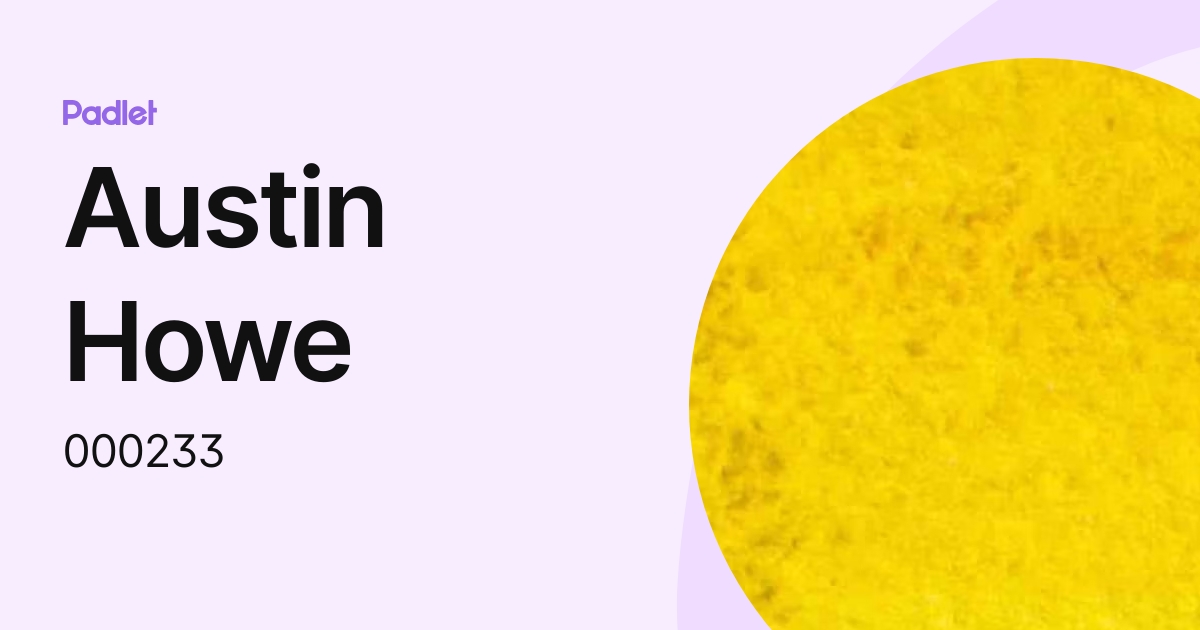 Austin Howe (000233) profile | Padlet