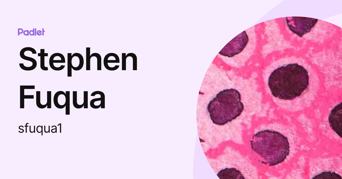 Stephen Fuqua (sfuqua1) profile | Padlet