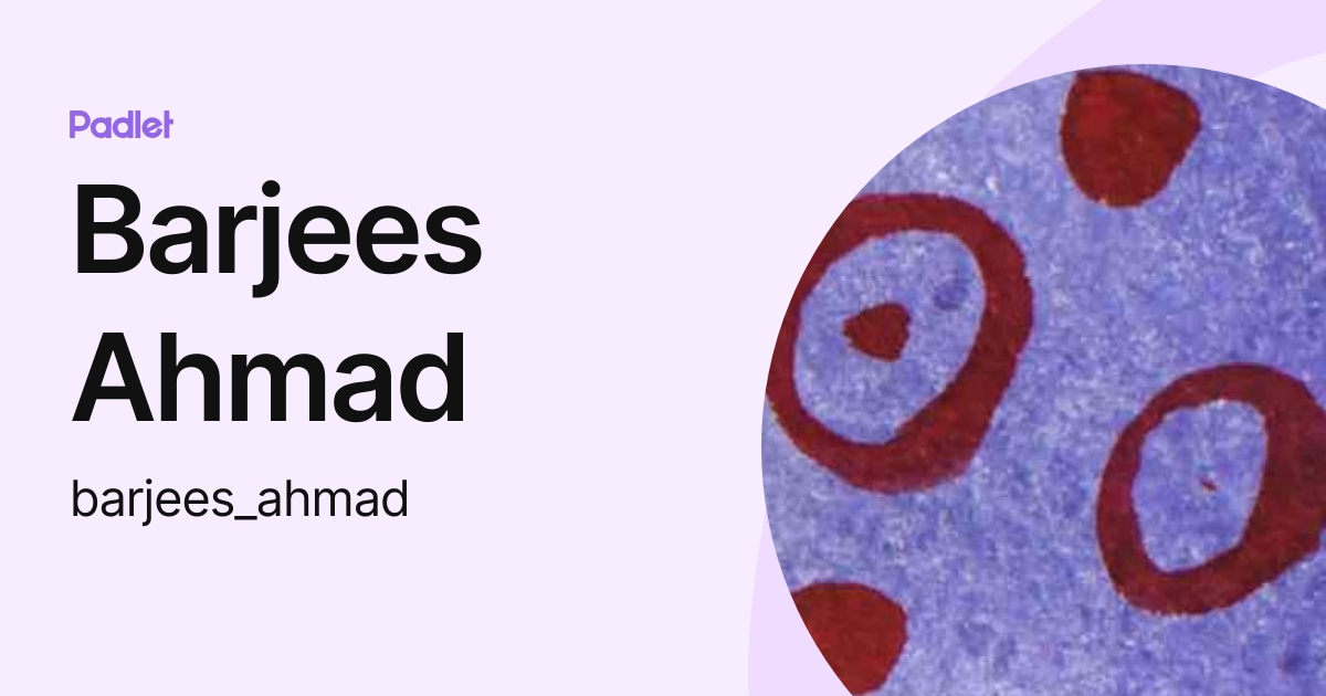 Barjees Ahmad (barjees_ahmad) profile | Padlet