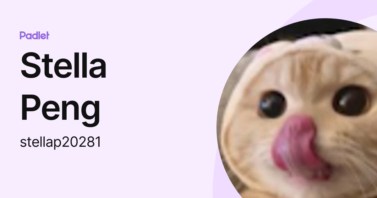 Stella Peng (stellap2028) profile | Padlet