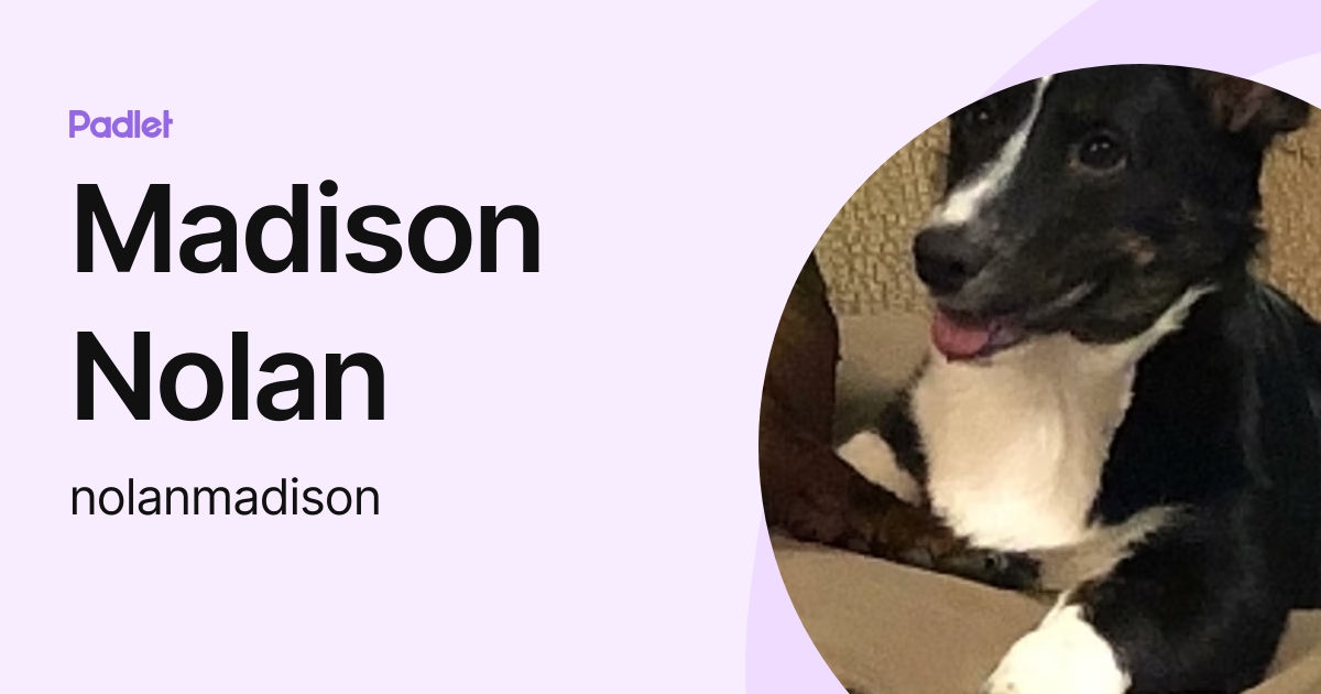 Madison Nolan (nolanmadison) profile | Padlet