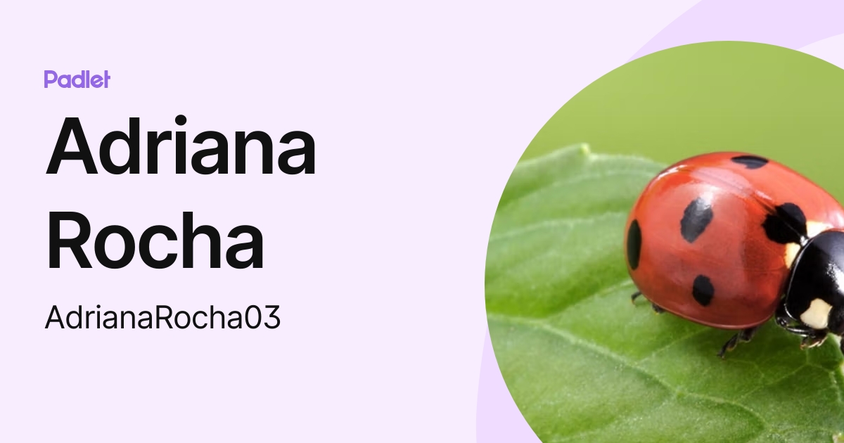 Adriana Rocha (AdrianaRocha03) profile | Padlet