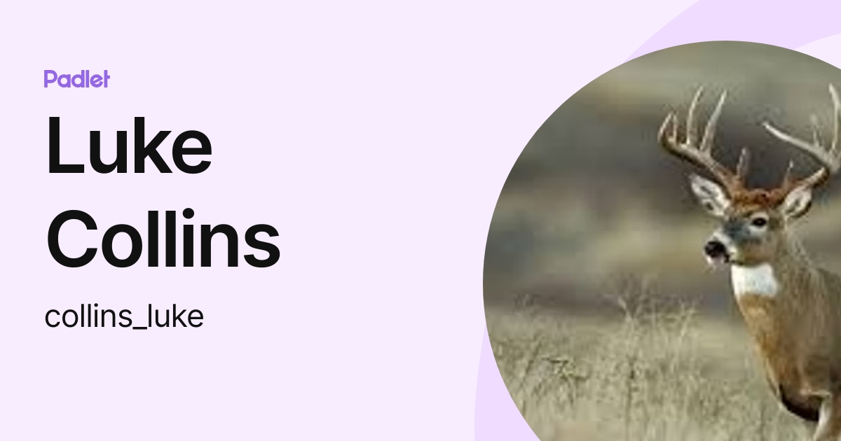 Luke Collins (collins_luke) profile | Padlet