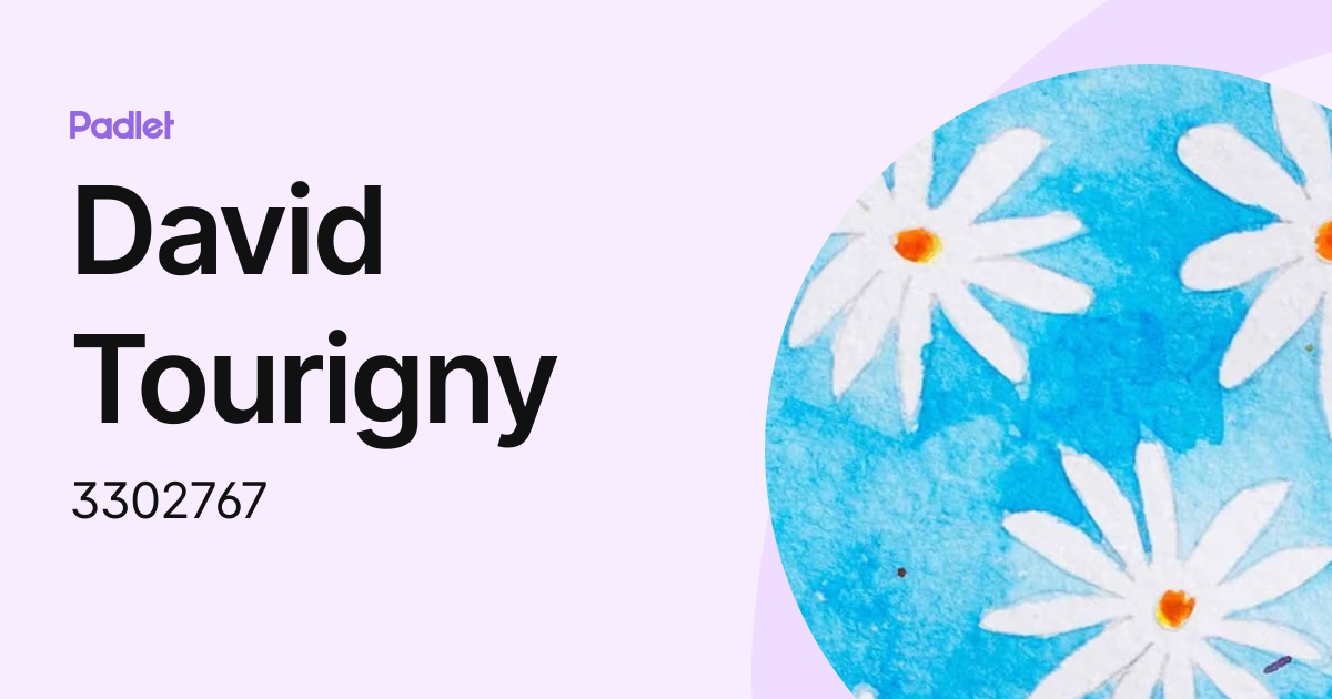 David Tourigny (3302767) profile | Padlet
