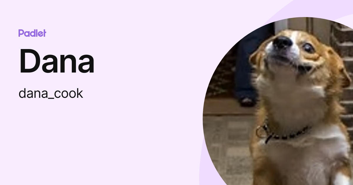 Dana (dana_cook) profile | Padlet
