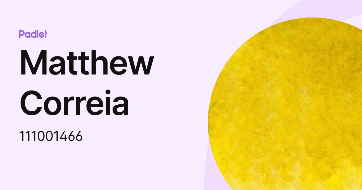 Matthew Correia (111001466) profile | Padlet