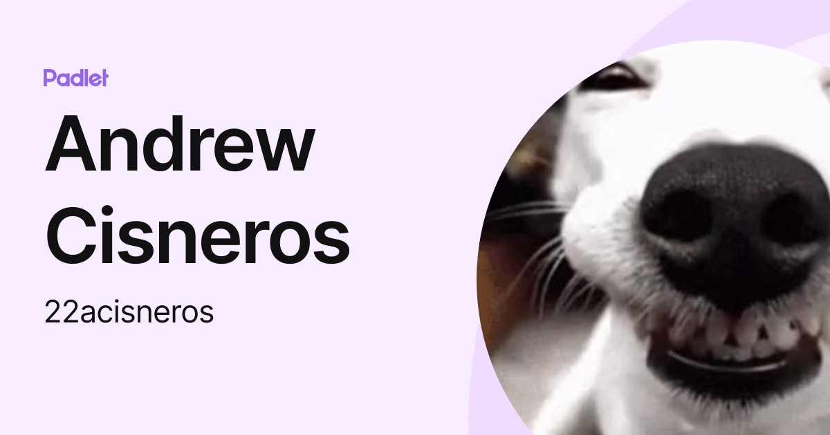 Andrew Cisneros (22acisneros) profile | Padlet