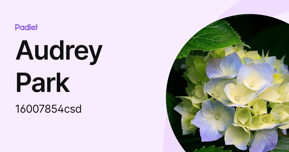 Audrey Park (16007854csd) profile | Padlet
