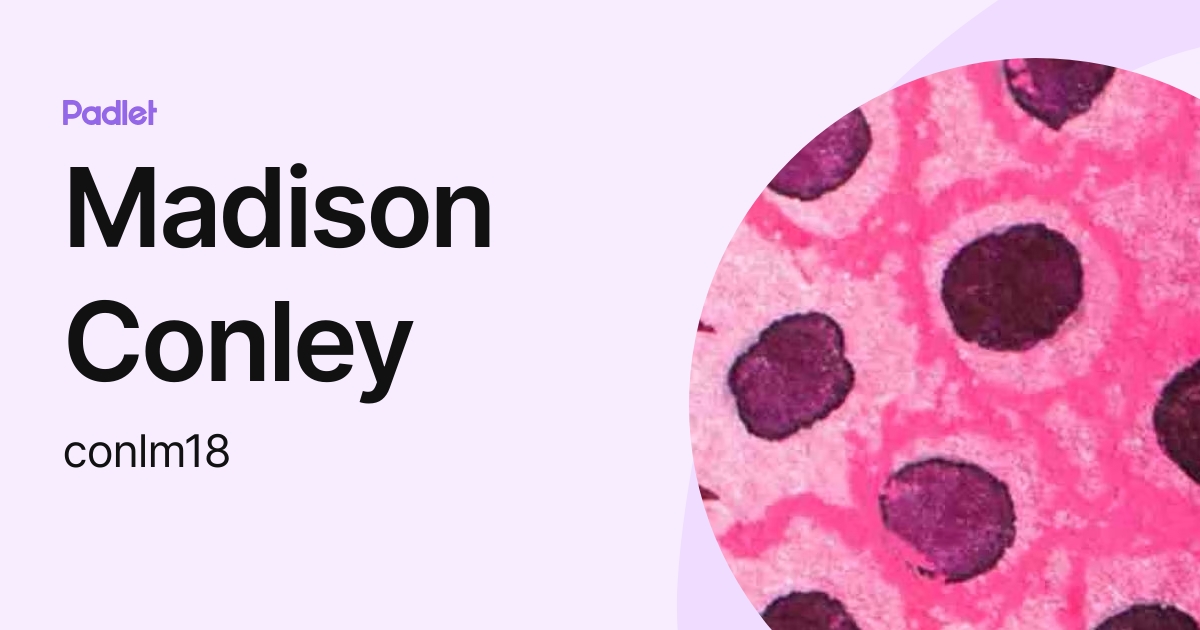 Madison Conley (conlm18) profile | Padlet