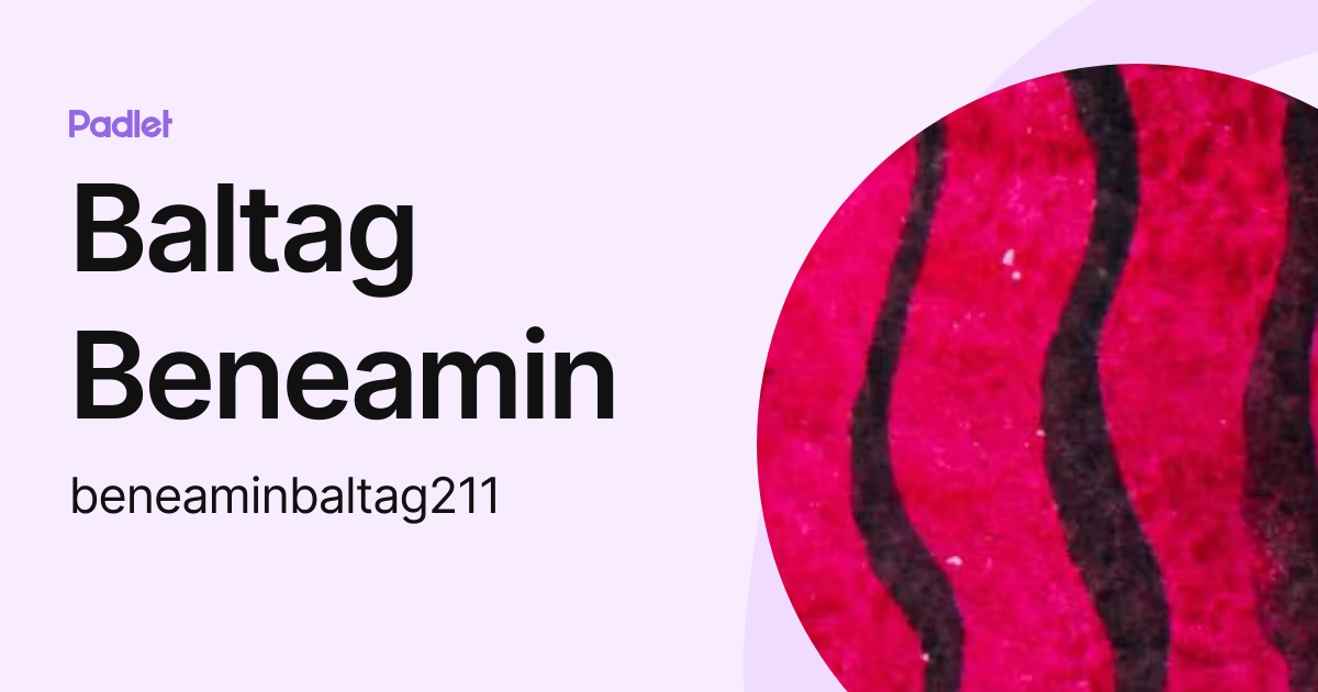 Baltag Beneamin (beneaminbaltag21) profile | Padlet