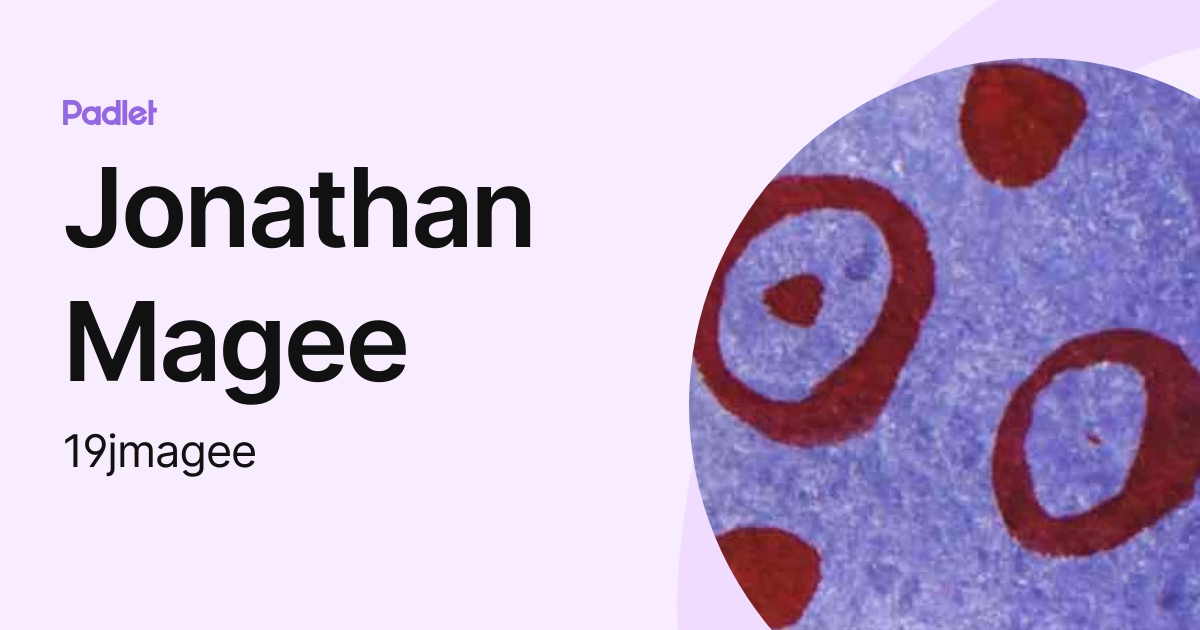 Jonathan Magee (19jmagee) profile | Padlet