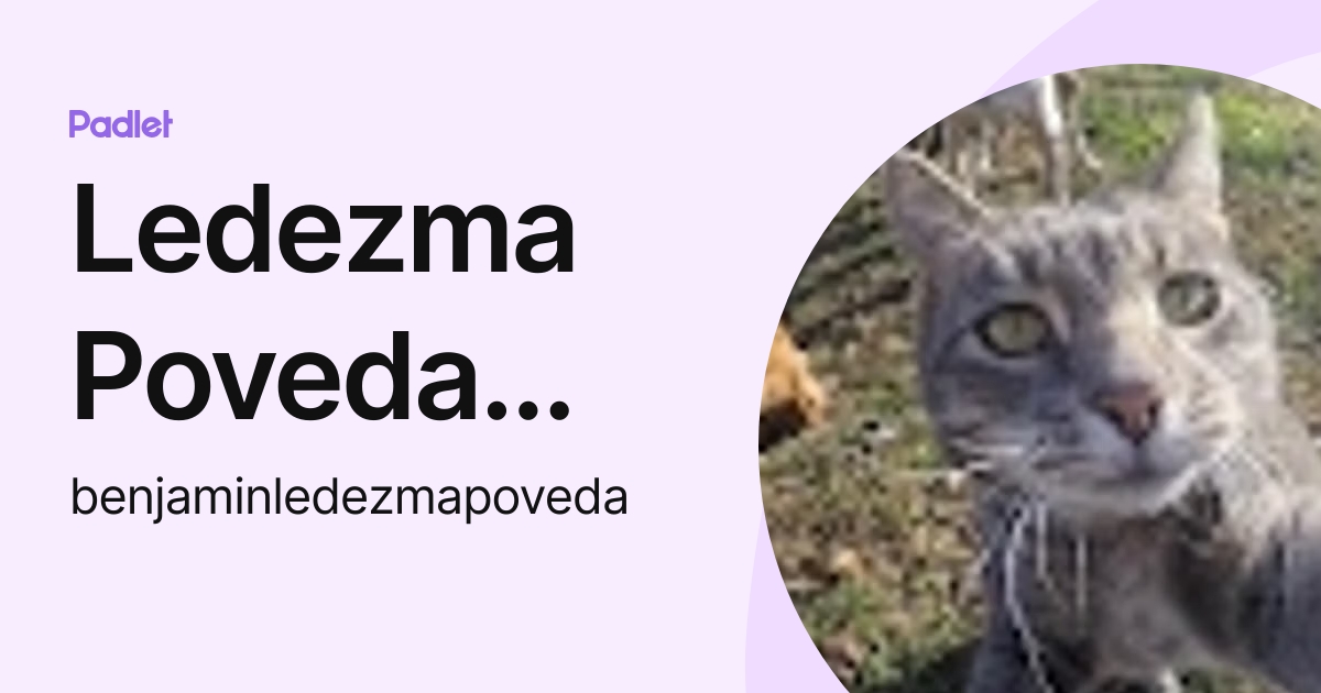Ledezma Poveda Benjamín Elías Clemente (benjaminledezmapoveda) profile ...