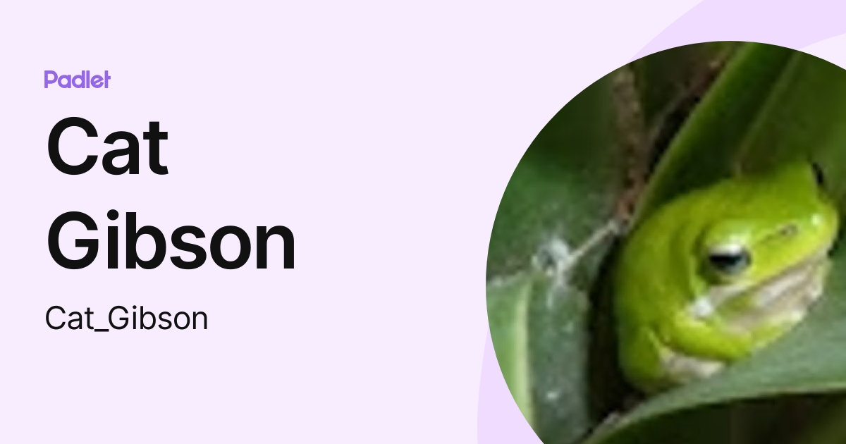 Cat Gibson (Cat_Gibson) profile | Padlet