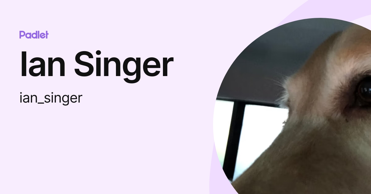 Ian Singer (ian_singer) profile | Padlet
