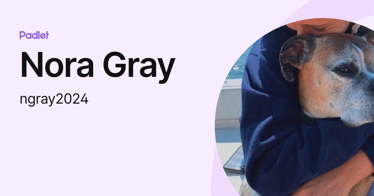 Nora Gray (ngray2024) profile | Padlet