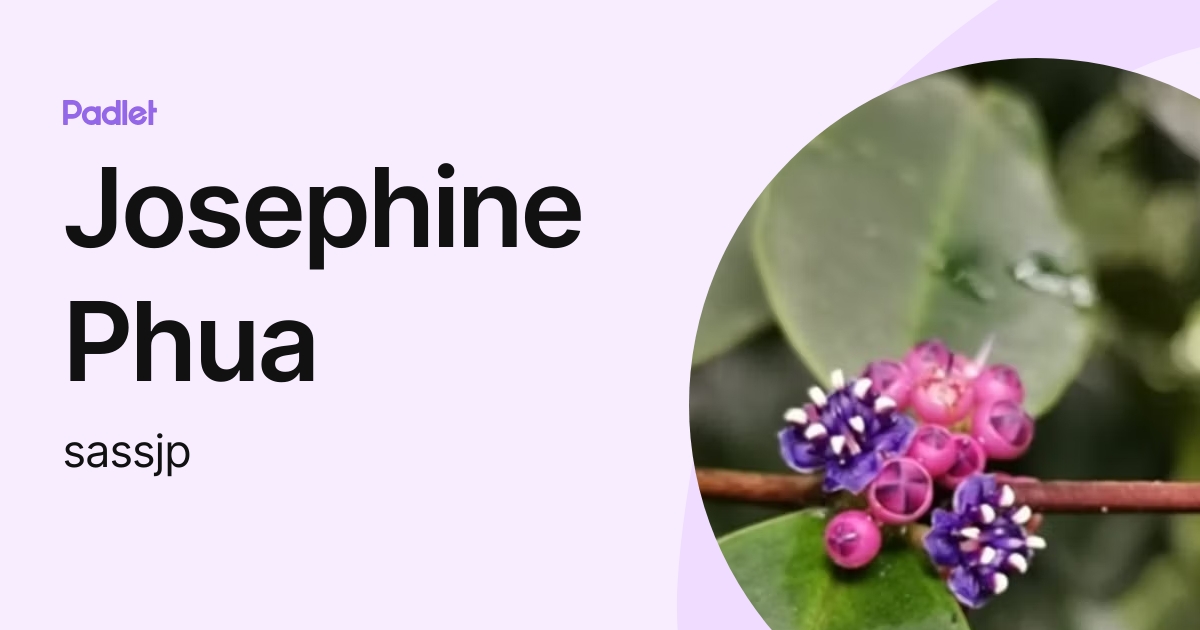 Josephine Phua (sassjp) profile | Padlet