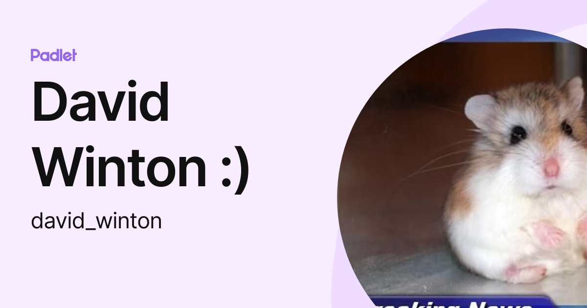 David Winton :) (david_winton) profile | Padlet