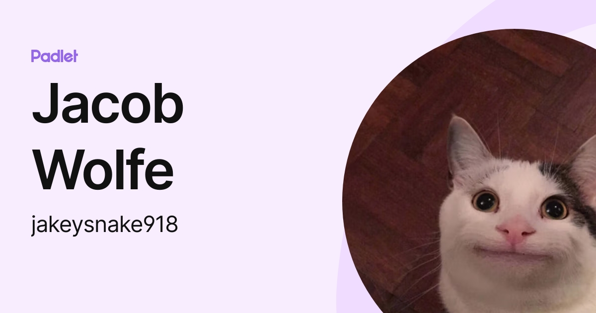 Jacob Wolfe (jakeysnake918) profile | Padlet