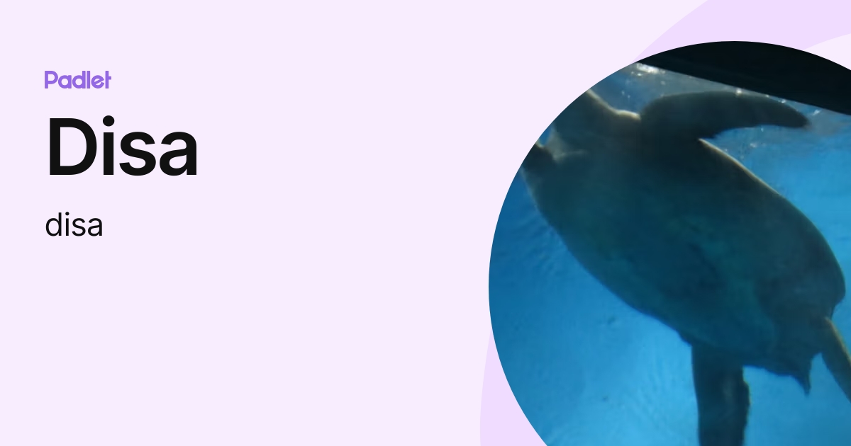 Disa (disa) profile | Padlet