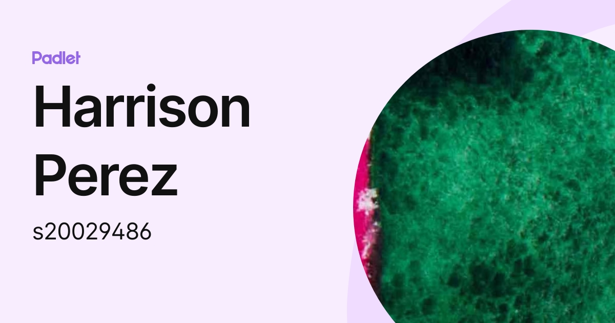Harrison Perez (s20029486) profile | Padlet