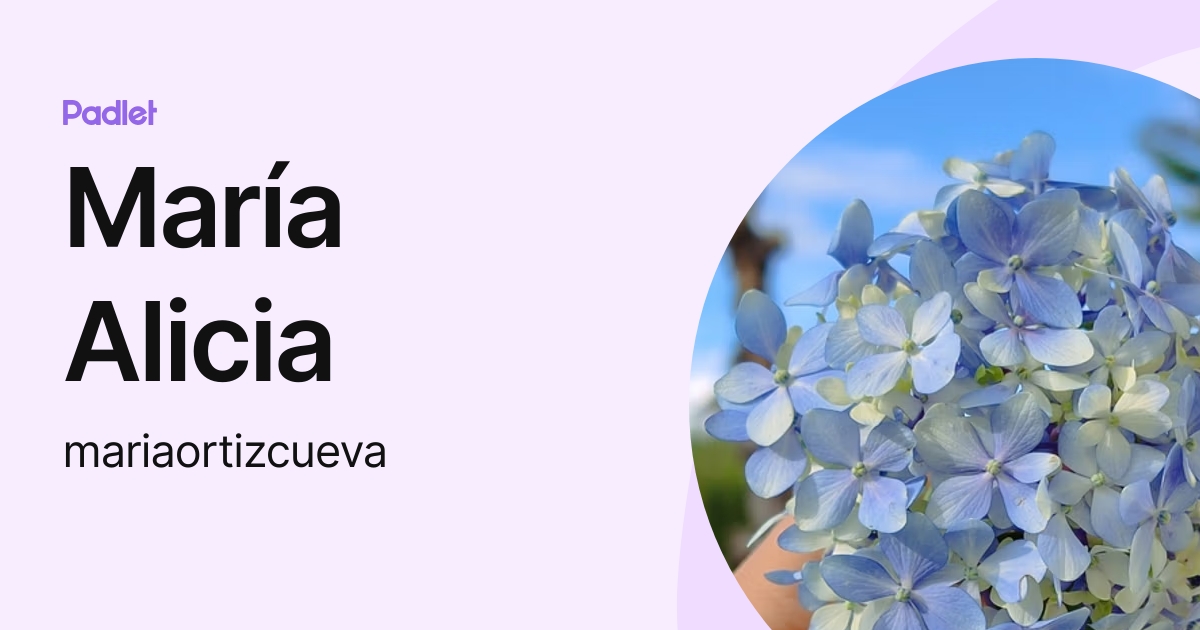 Maria Alicia Ortiz Cueva (mariaortizcueva) profile | Padlet