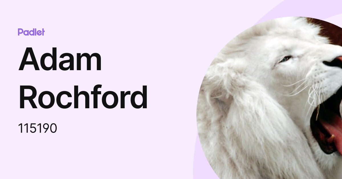 Adam Rochford (115190) profile | Padlet