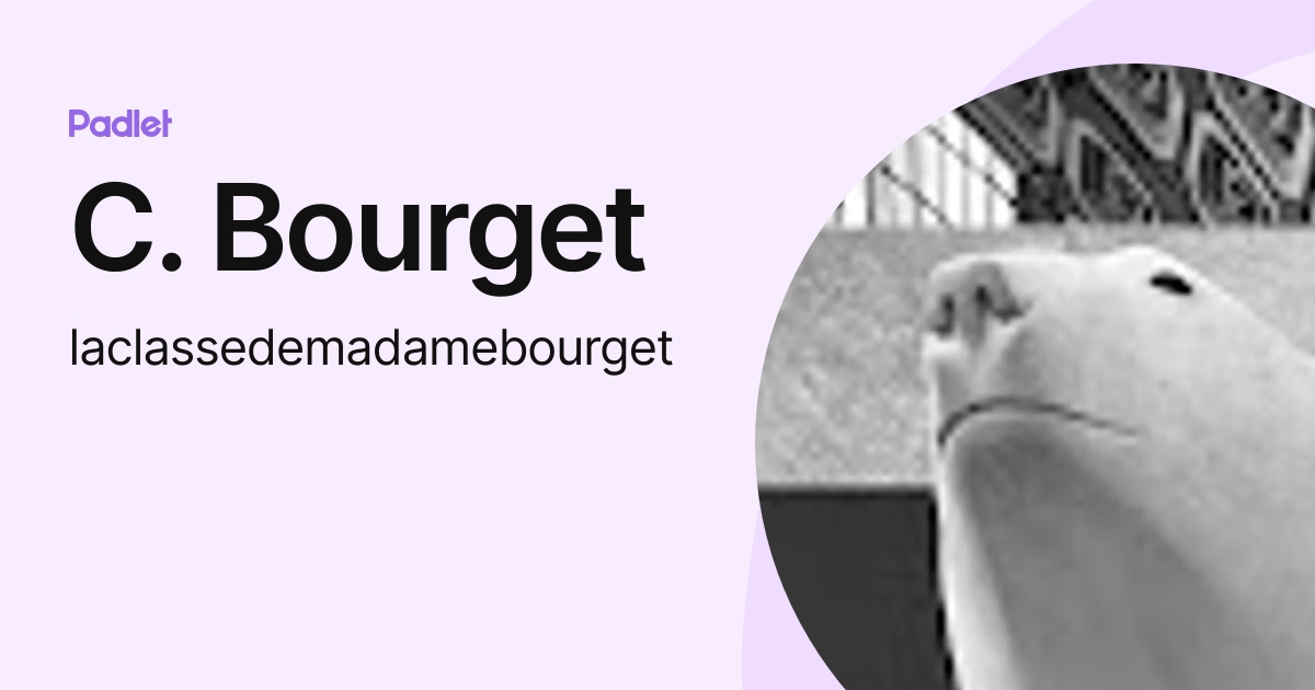 Profil de C. Bourget (laclassedemadamebourget) | Padlet
