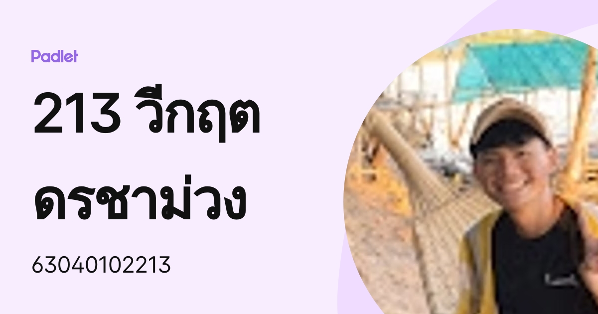 213 วีกฤต ดรชาม่วง (63040102213) profile | Padlet