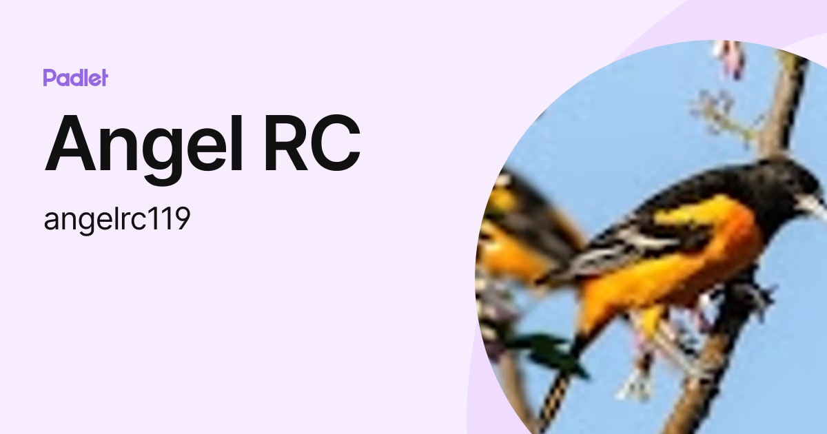 Angel RC (angelrc119) profile | Padlet