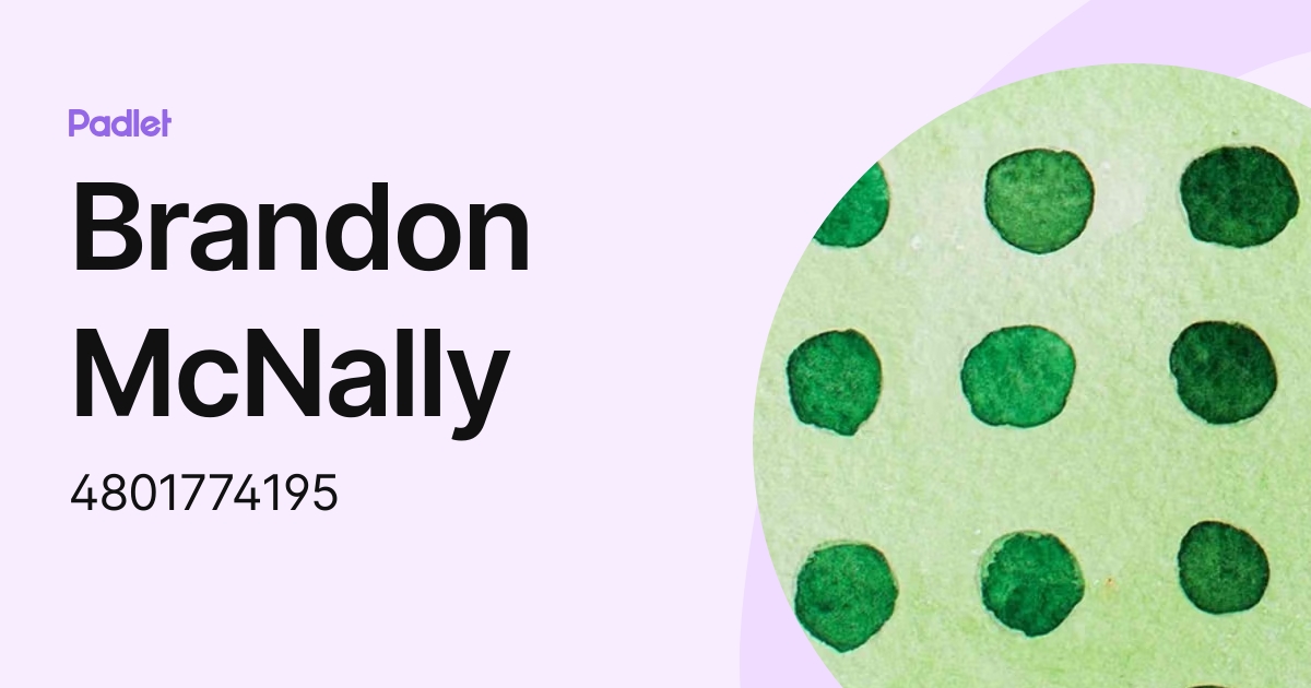 Brandon McNally (4801774195) profile | Padlet