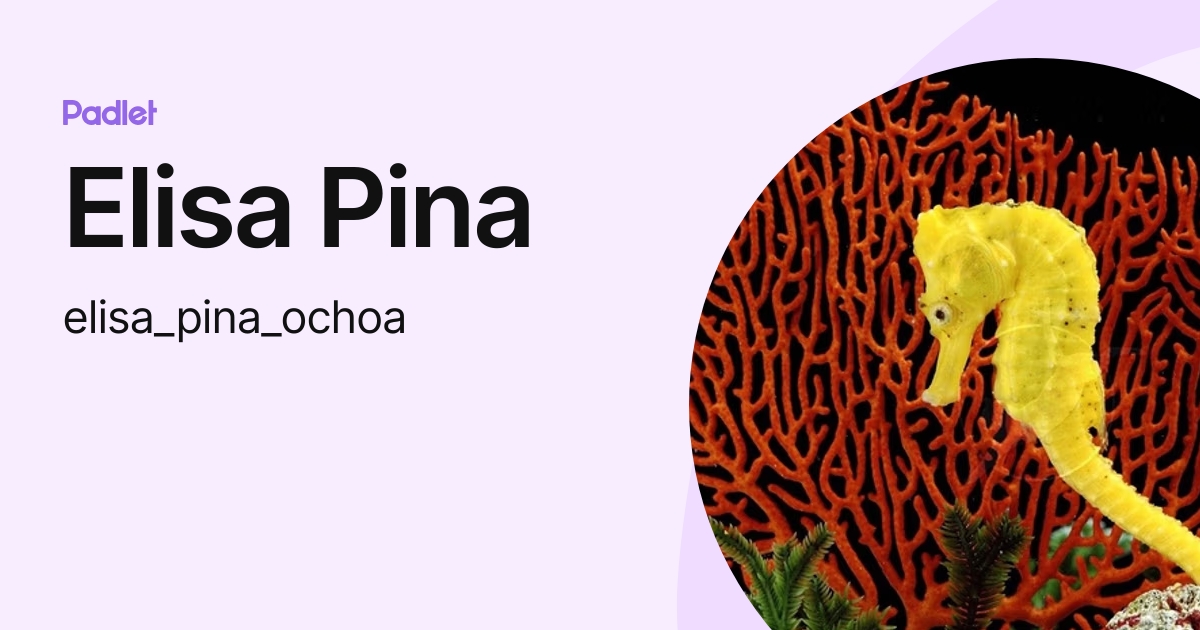 Elisa Pina (elisa_pina_ochoa) profile | Padlet