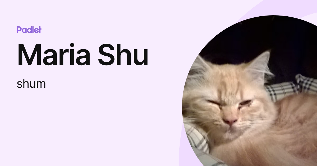 Maria Shu (shum) profile | Padlet