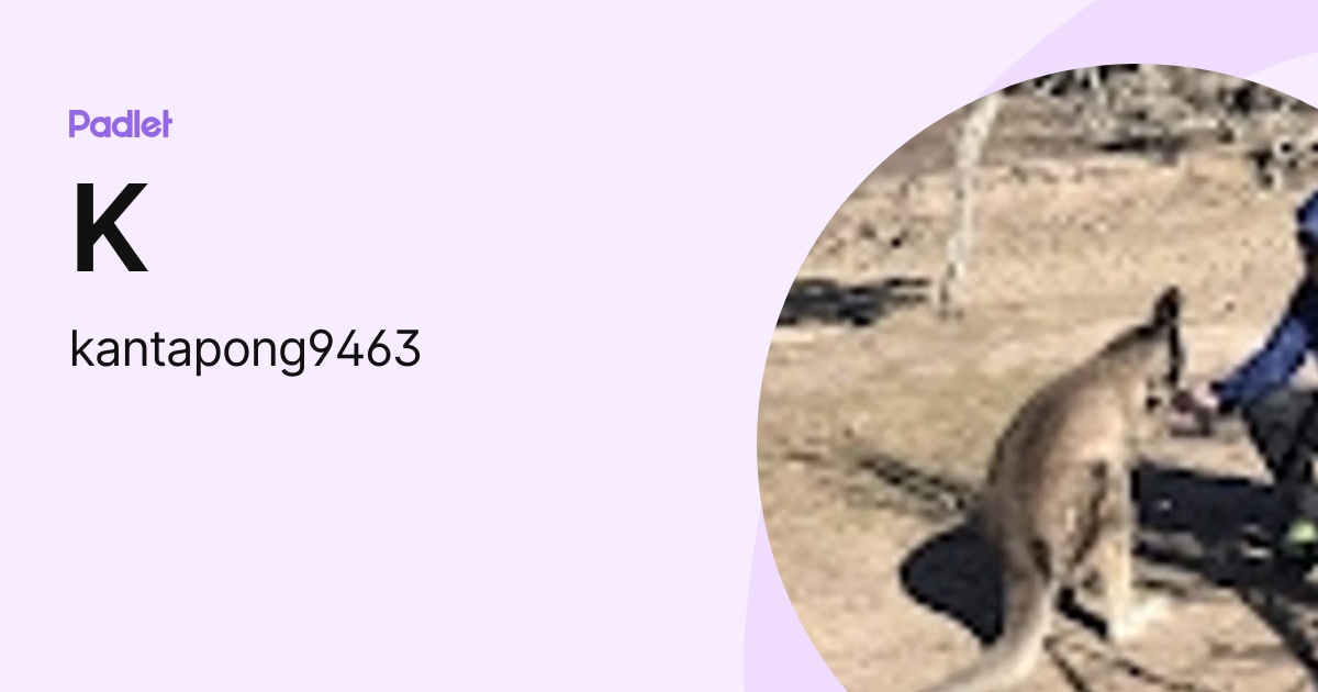 K (kantapong9463) profile | Padlet