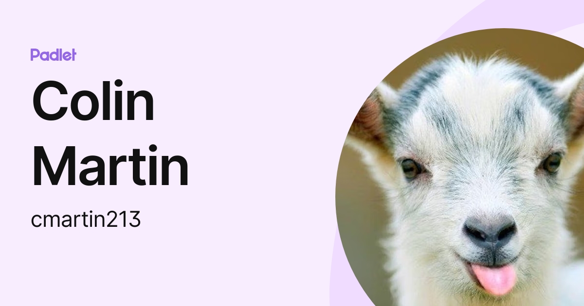 Colin Martin (cmartin213) profile | Padlet