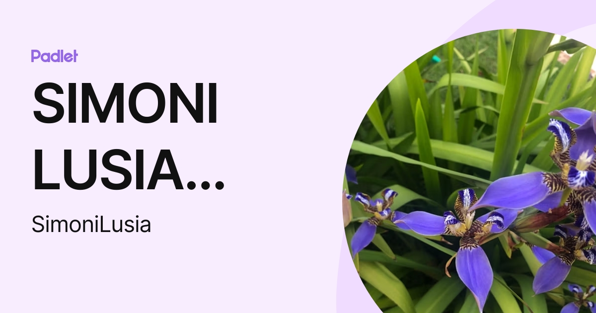 SIMONI LUSIA VALERIA DA SILVA FONSECA (SimoniLusia) profile | Padlet