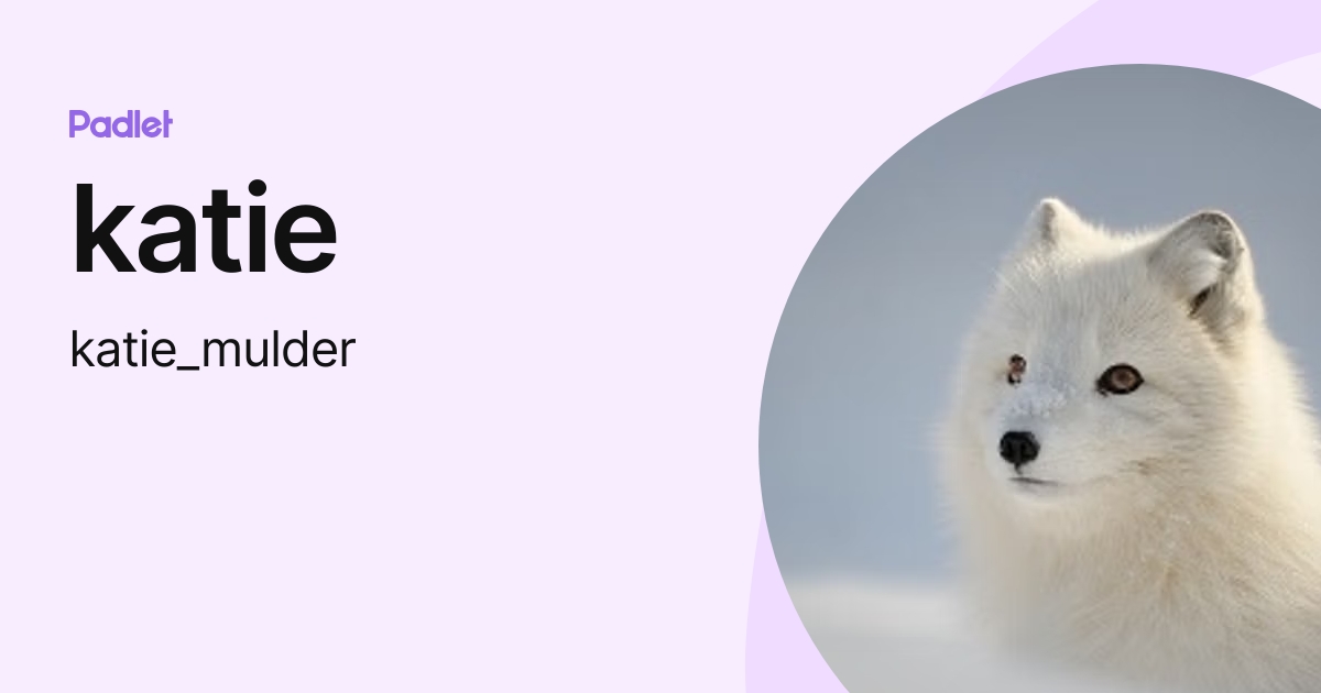 katie (katie_mulder) profile | Padlet