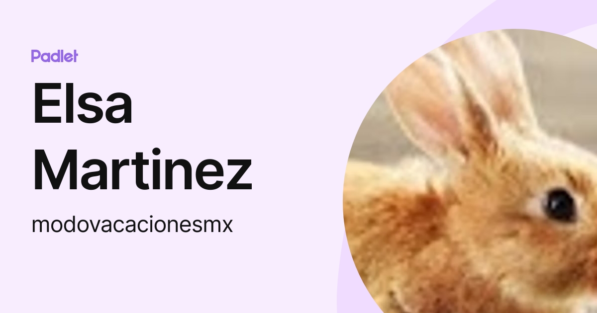 Elsa Martinez (modovacacionesmx) profile | Padlet