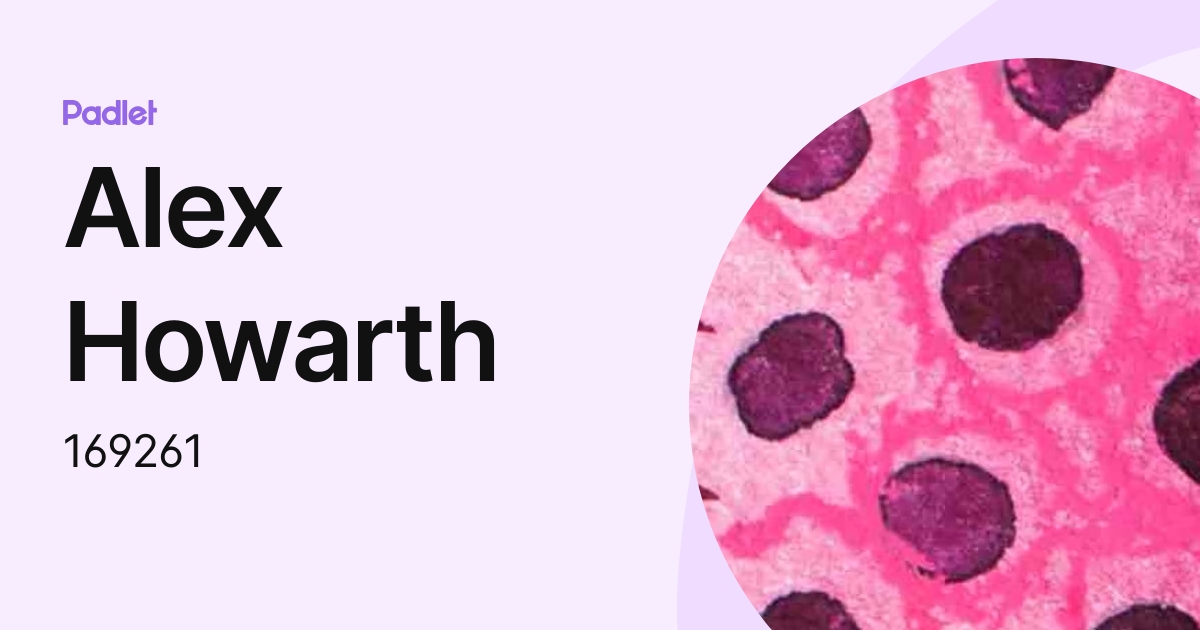 Alex Howarth (169261) profile | Padlet