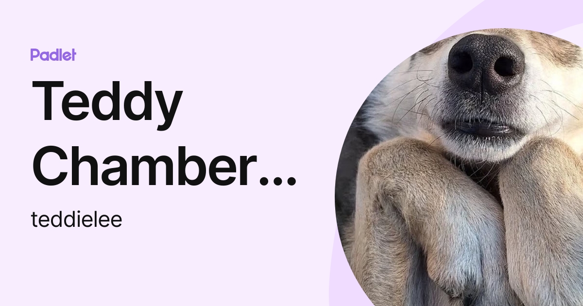 Teddie Chamberlain (teddielee) profile | Padlet