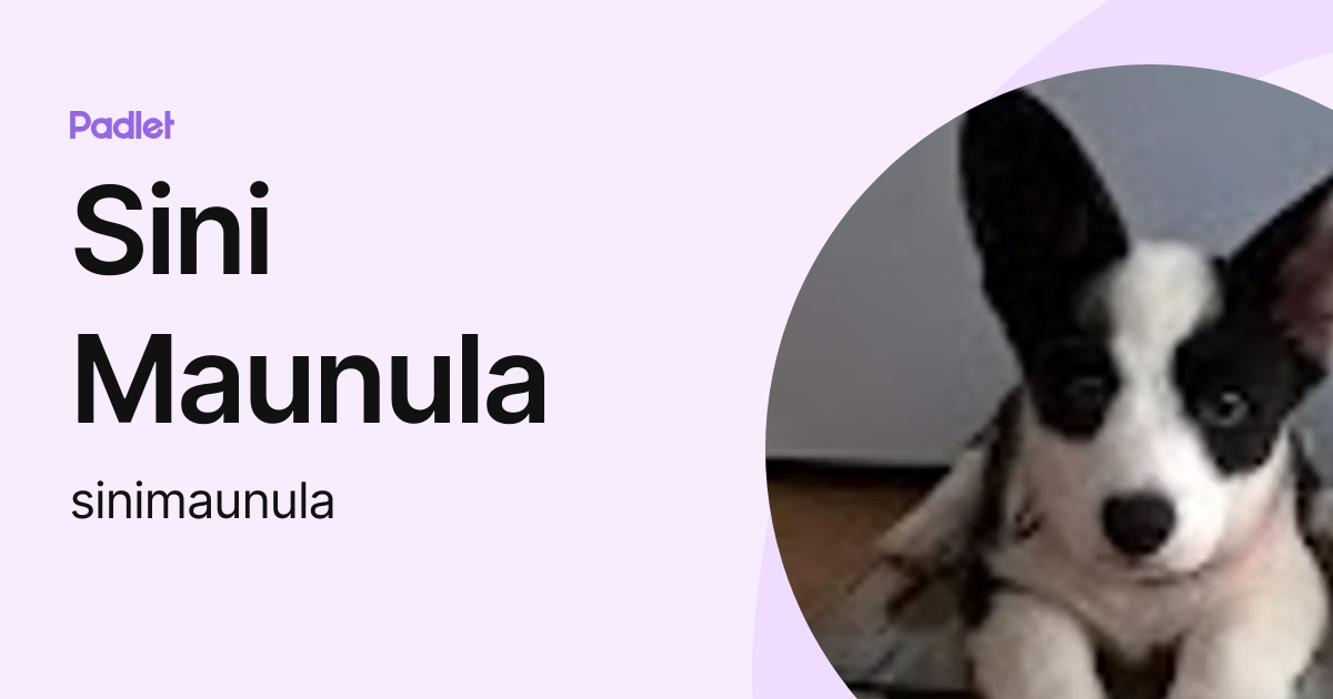 Sini Maunula (sinimaunula) profile | Padlet