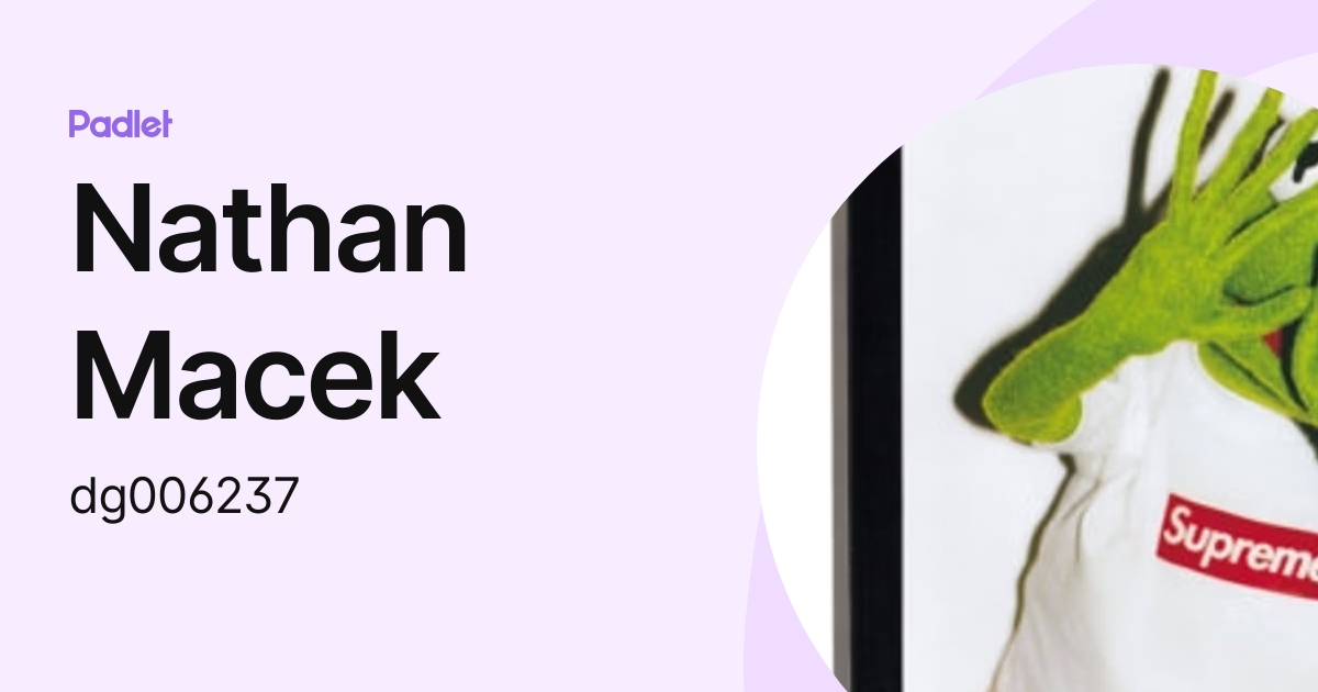 Nathan Macek (dg006237) profile | Padlet